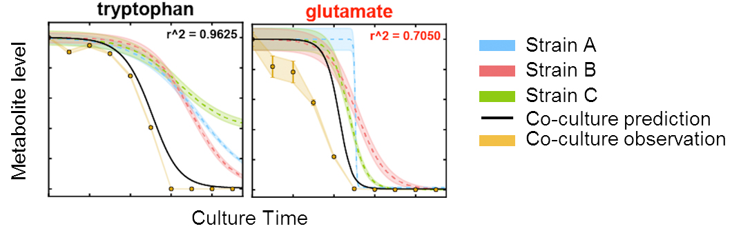 Predicting Metabolic Properties Using Dynamic Substrate Preference Enigma