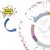 Culturing of “Unculturable” Subsurface Microbes: Natural Organic Carbon ...