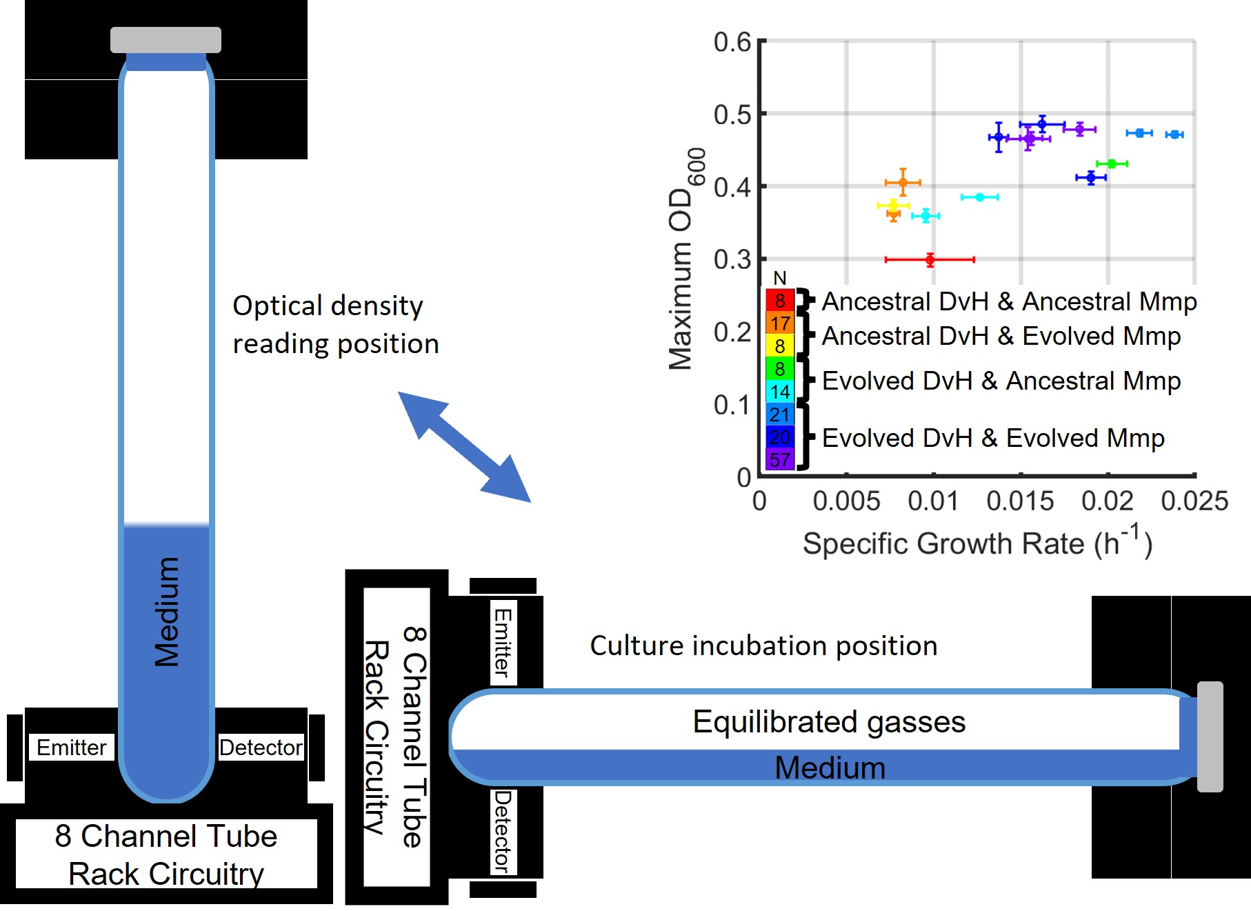 Automating Culturing Technology Aids In Scaling Bacterial Growth ...